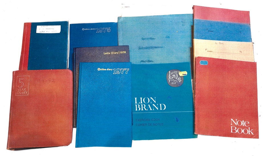 113. Three Diaries - Drew Family Diaries